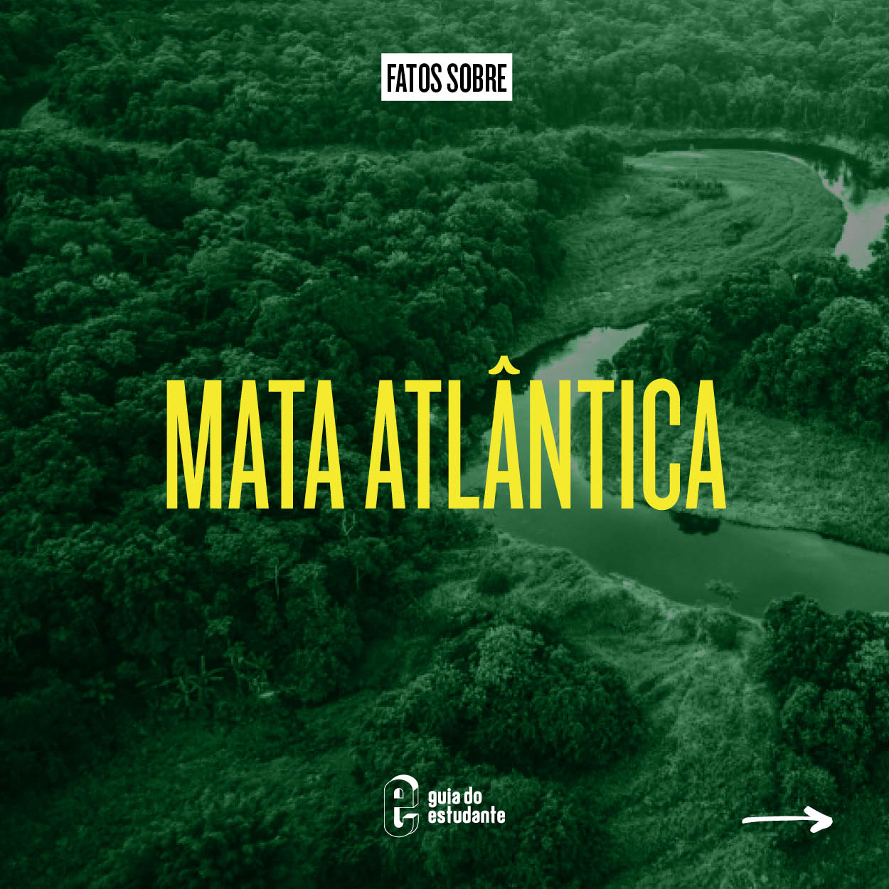 Dia da Mata Atlântica: 5 fatos sobre o bioma | Guia do Estudante